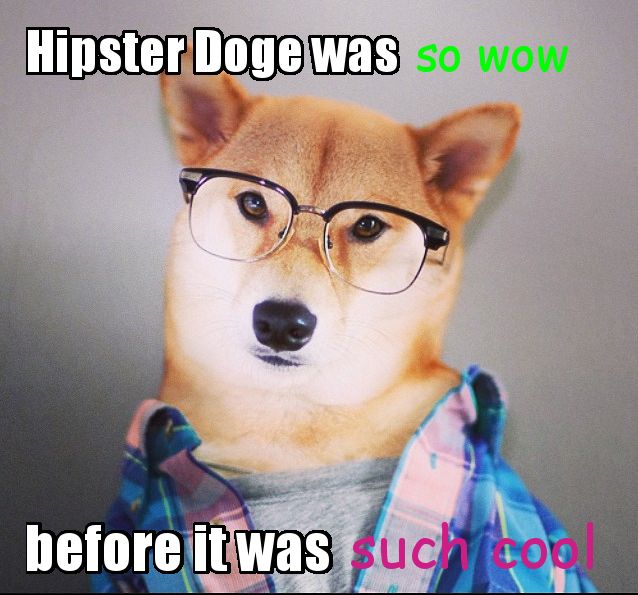 Hipster Doge | Scrolller