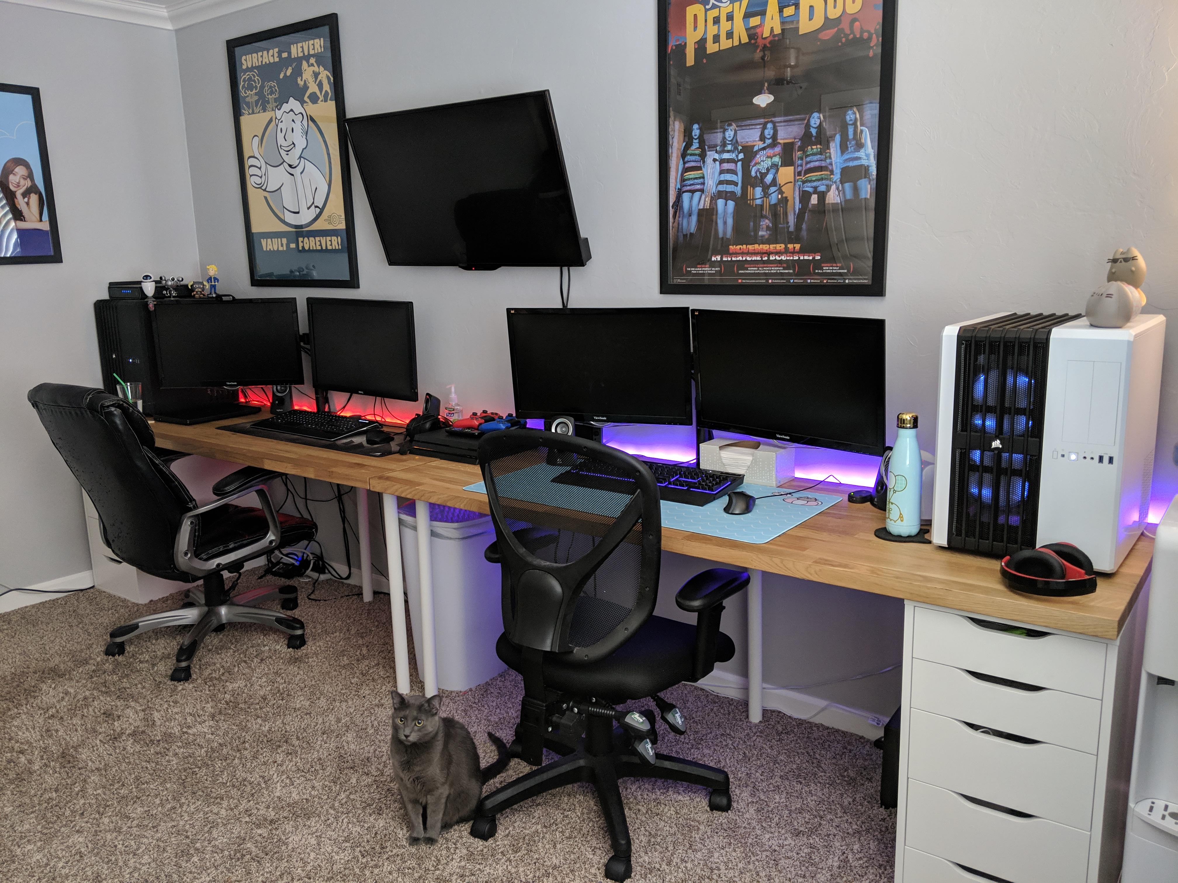 His and Hers Battlestations + a kitty | Scrolller