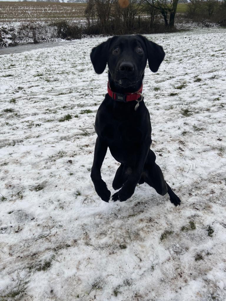 His first time seeing “snow” | Scrolller