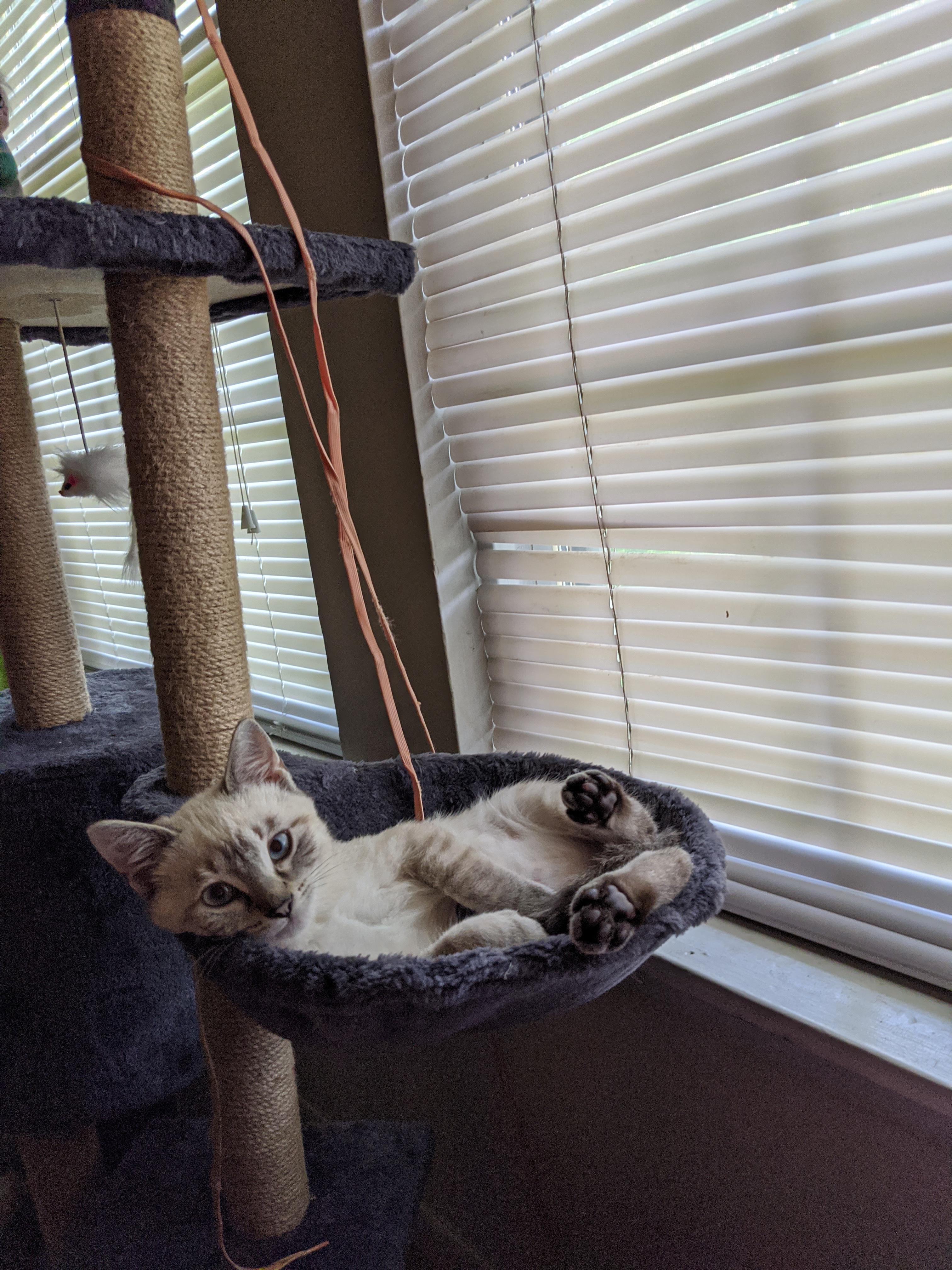 His little beans. | Scrolller