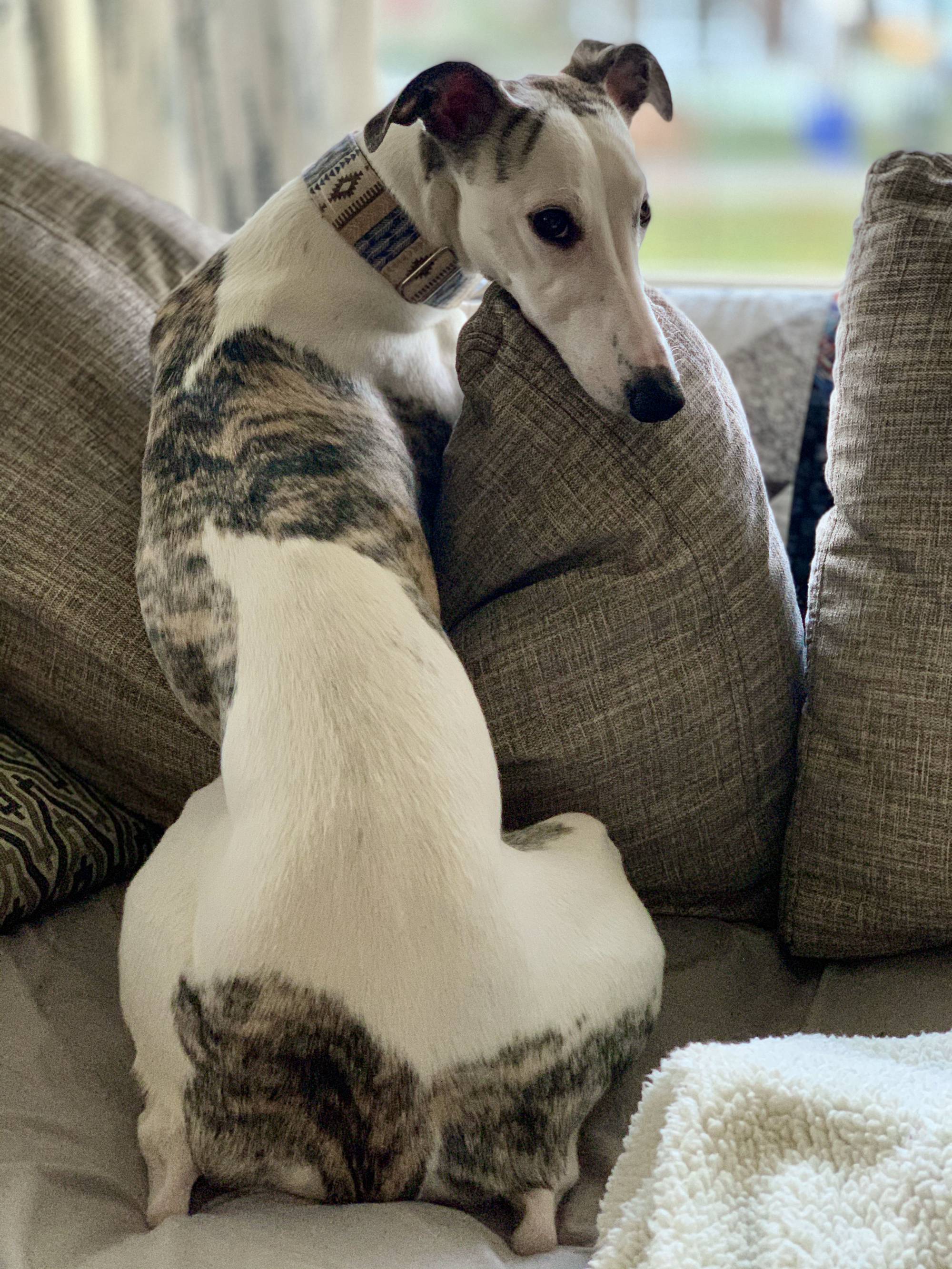 His new favorite spot | Scrolller