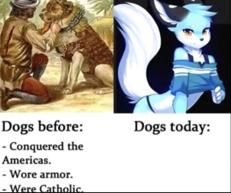 History_irl | Scrolller