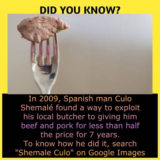 History Lesson | Scrolller