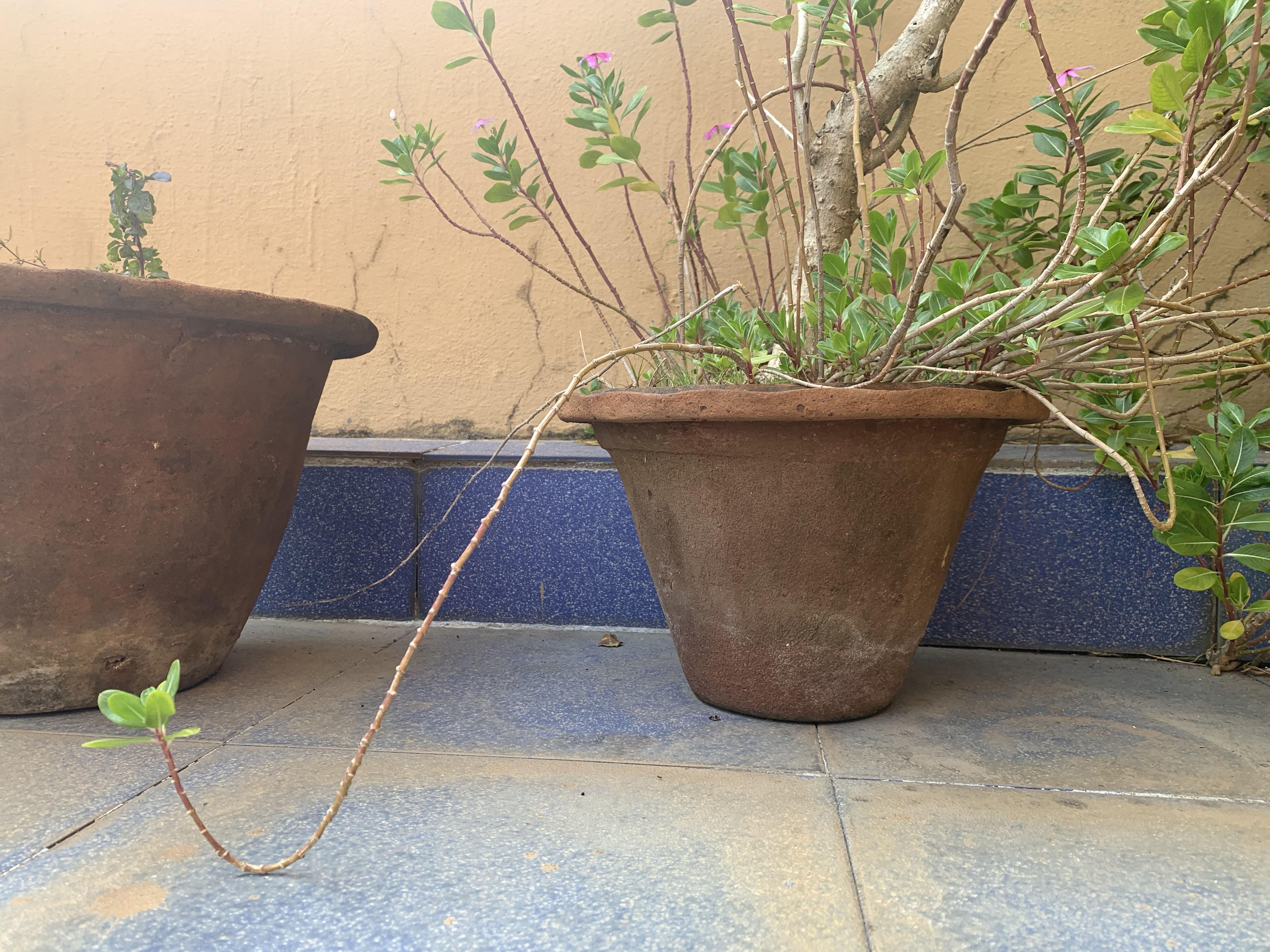 Hitting rock bottom and then bouncing back [Image] | Scrolller