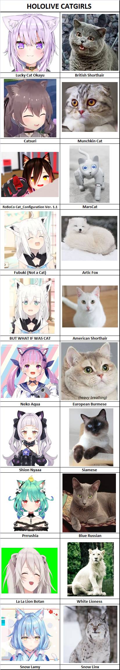 Hololive Catgirls Breeds | Scrolller