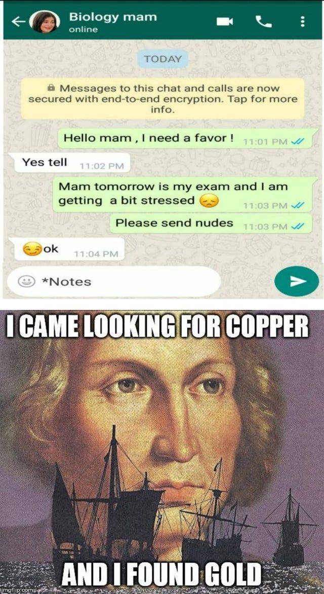 Holy crap ! | Scrolller