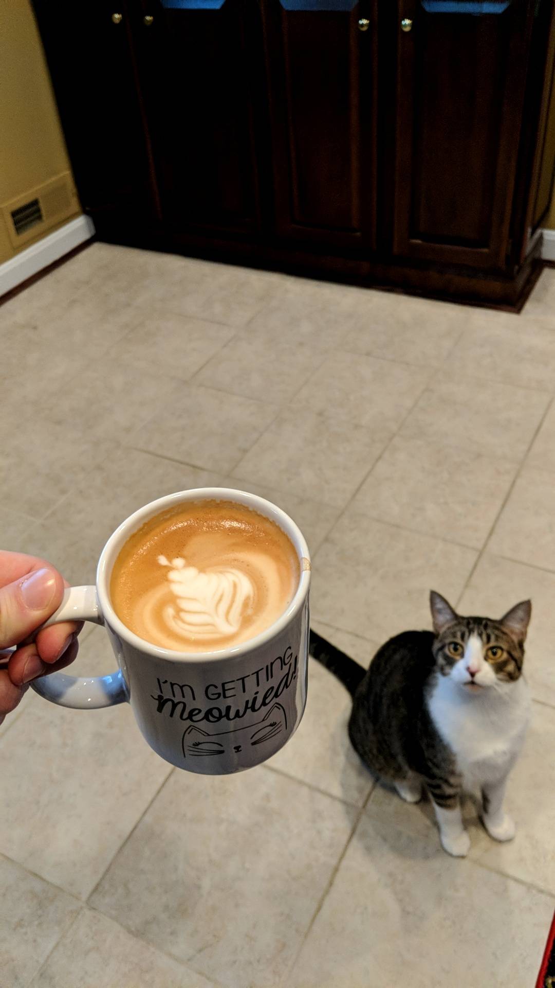 Holy shit, i finally did it... Kinda. | Scrolller