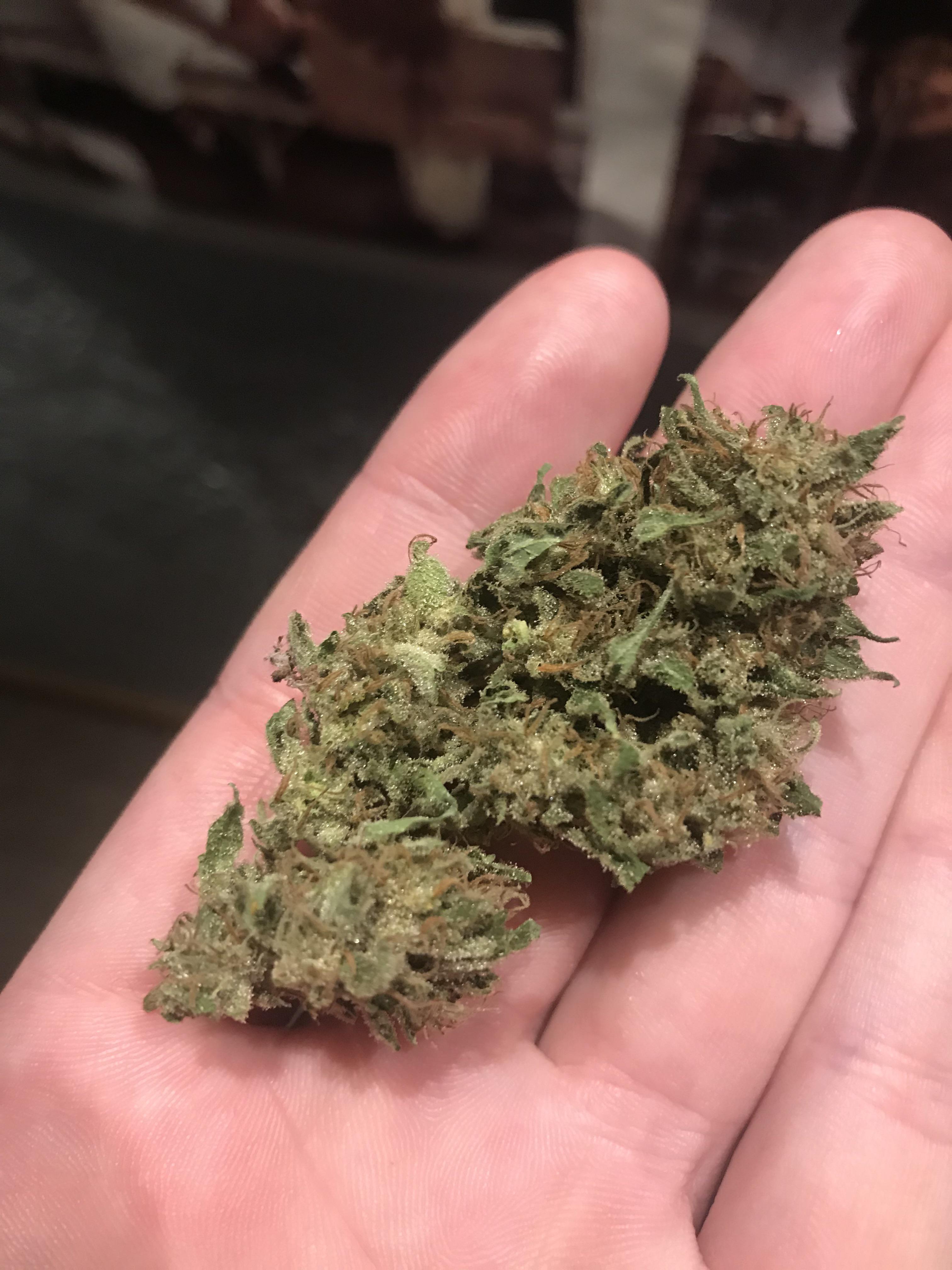 Homegrown AK-47 | Scrolller
