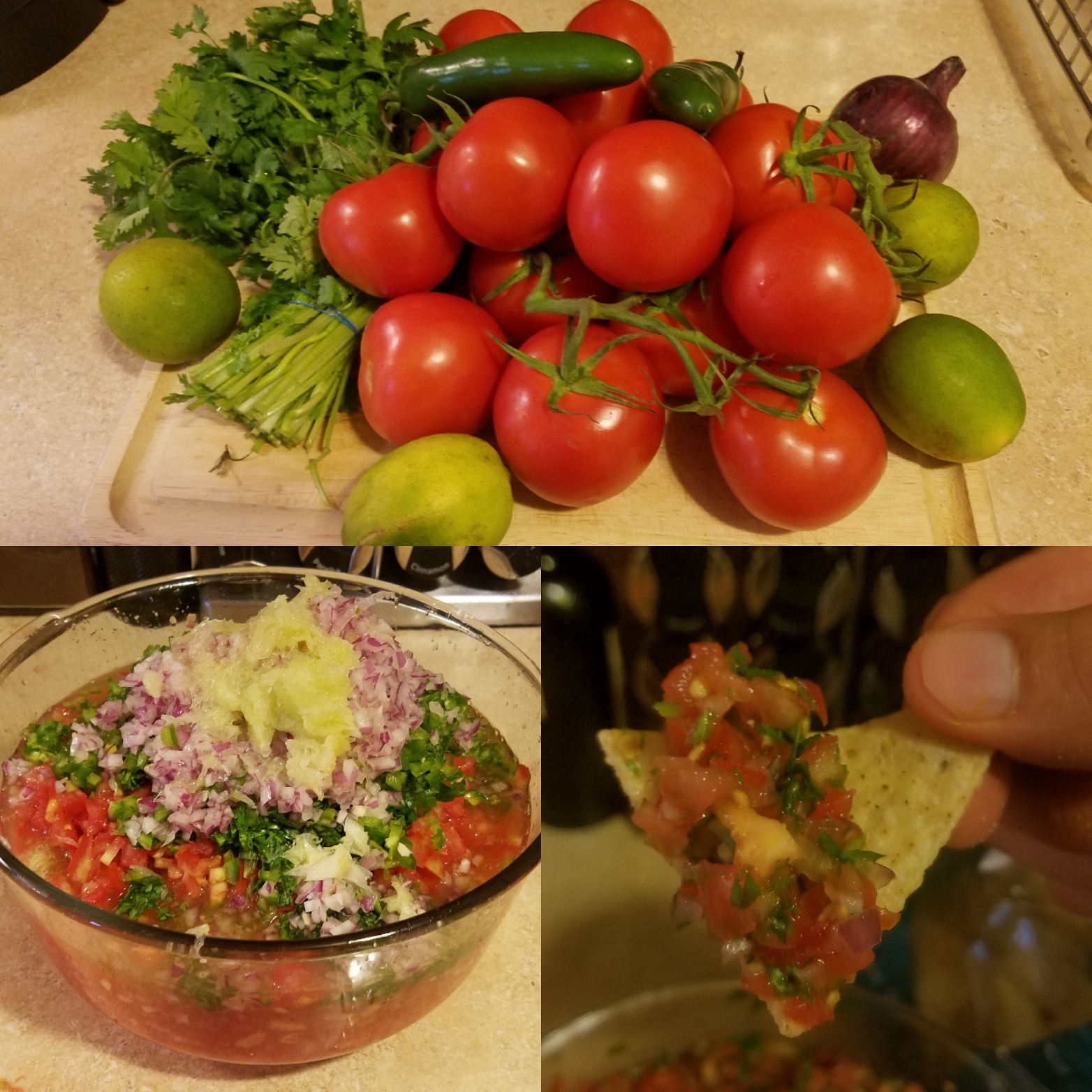 [Homemade] Fresh salsa | Scrolller