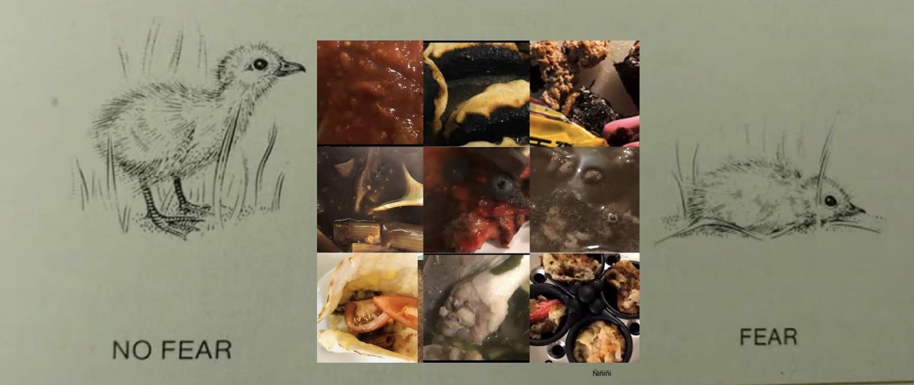 Honestly, I am terrified | Scrolller