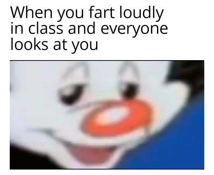 Hope you allow memes here | Scrolller