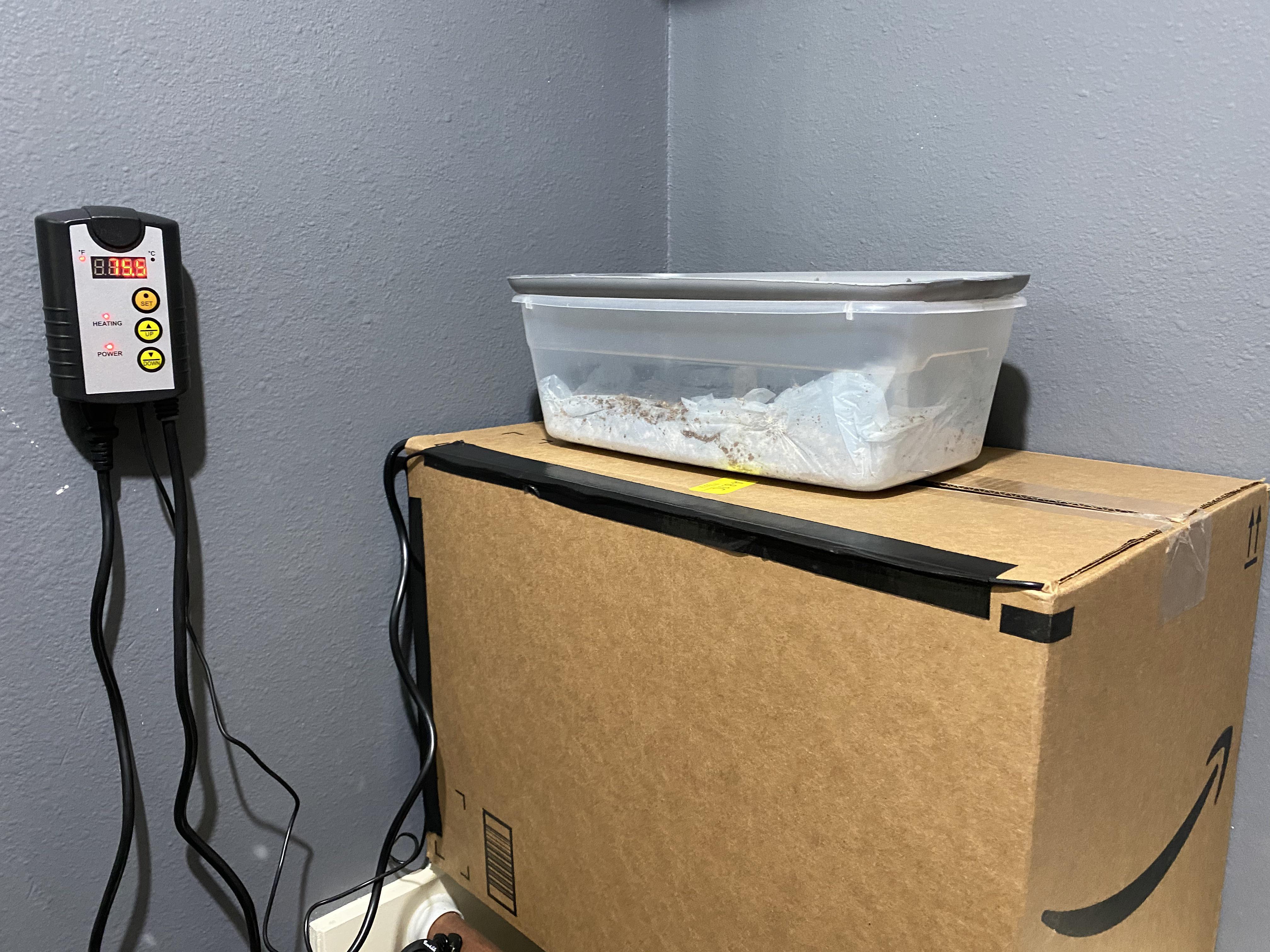 hopefully all my temp issues are fixed now | Scrolller