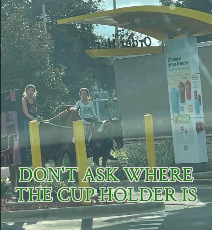 Horse power | Scrolller