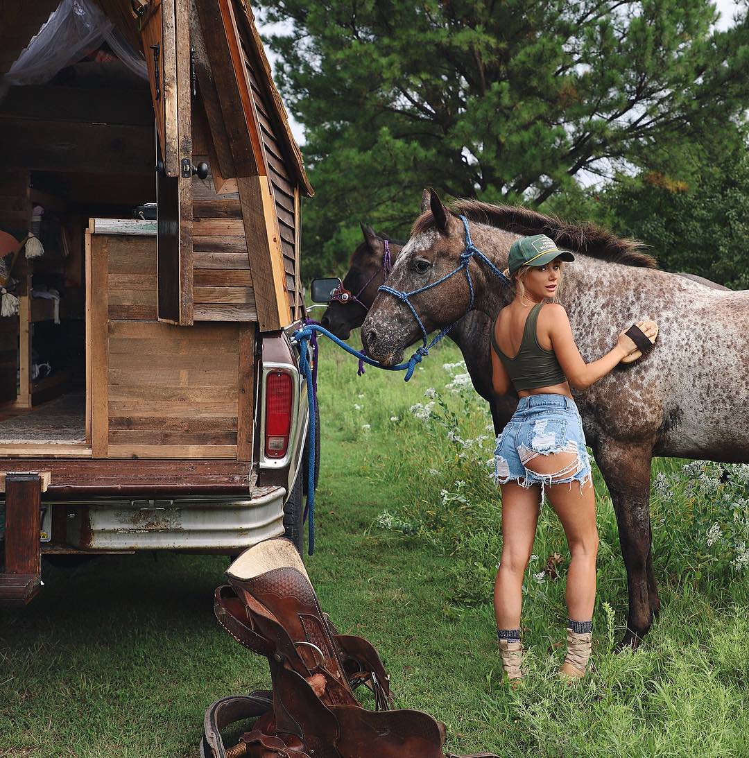 Horse power | Scrolller