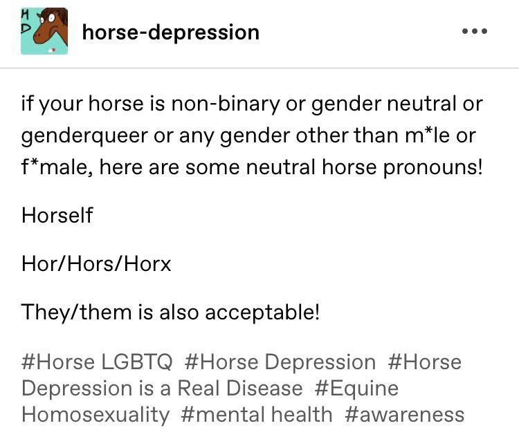 horse pronouns! for non binary horses! | Scrolller