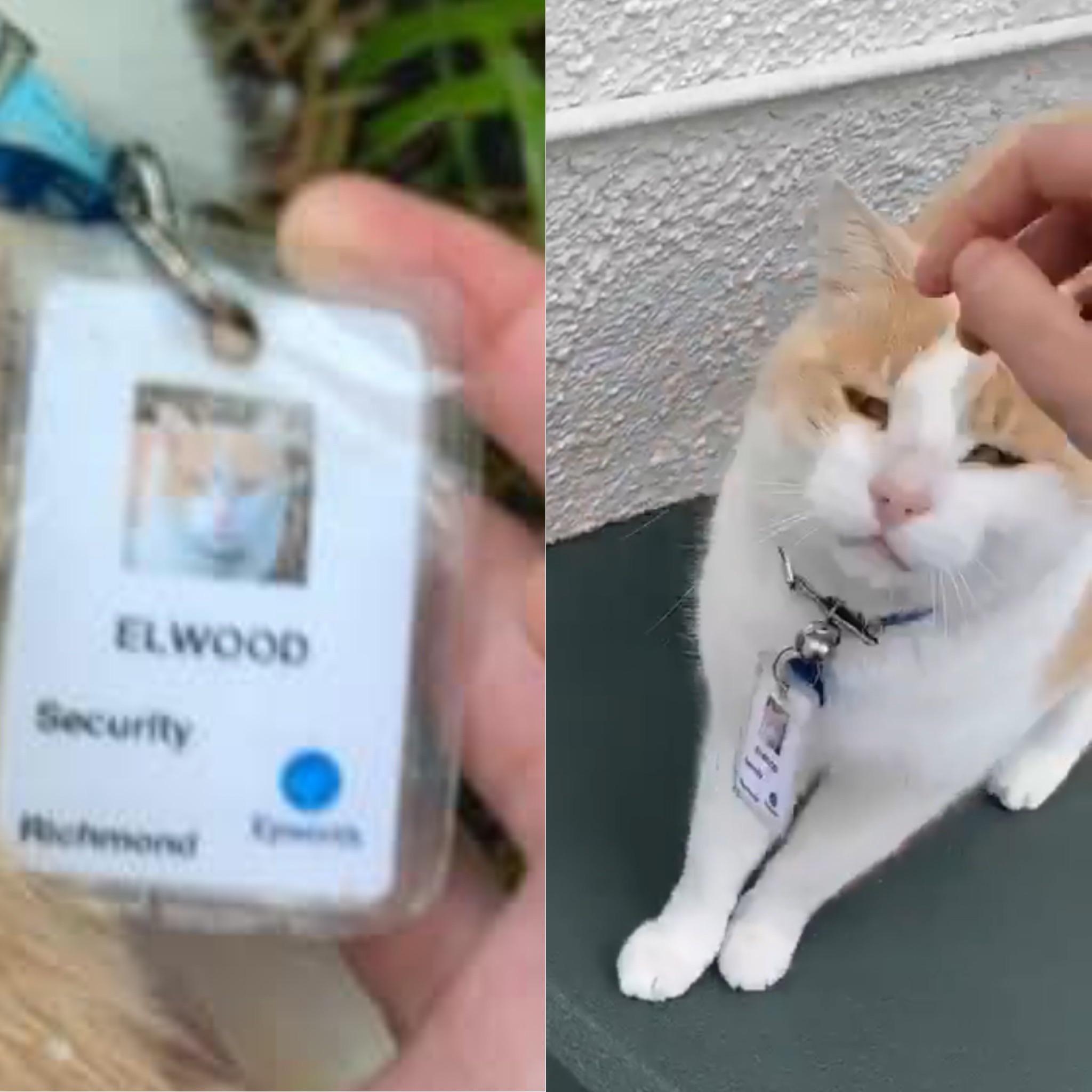 Hospital security with credentials | Scrolller