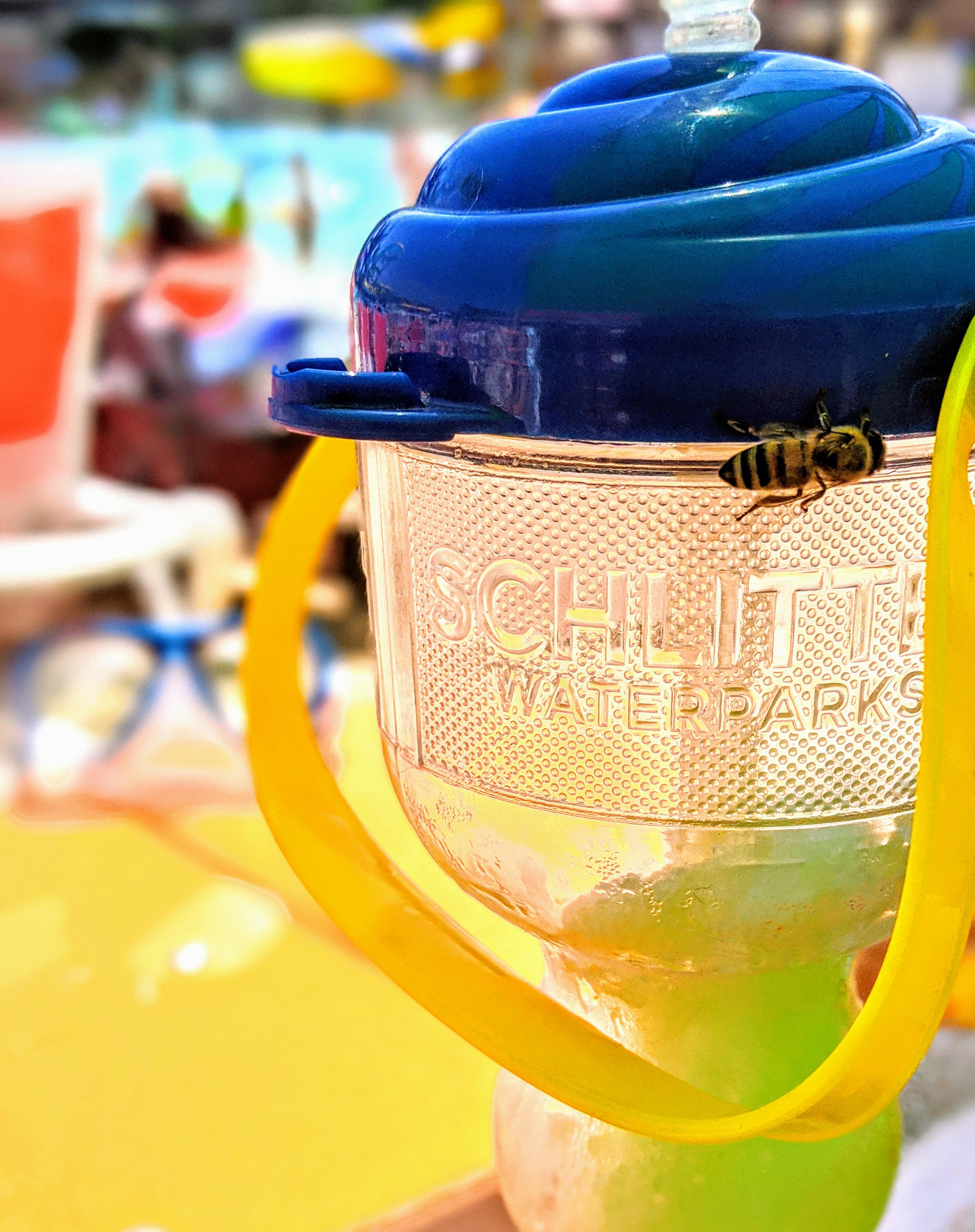 Hostile takeover at Schlitterbahn | Scrolller