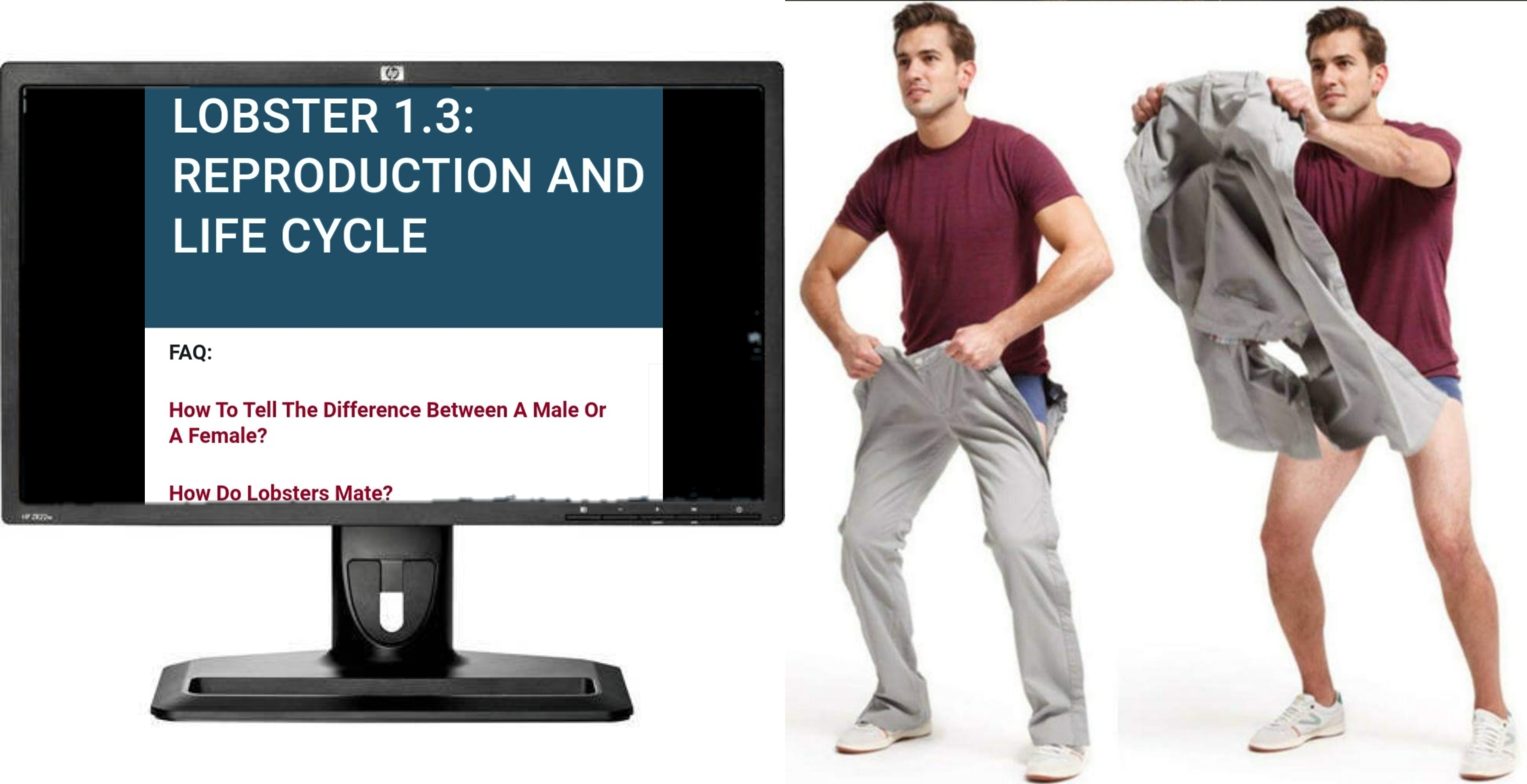 Hot stuff | Scrolller