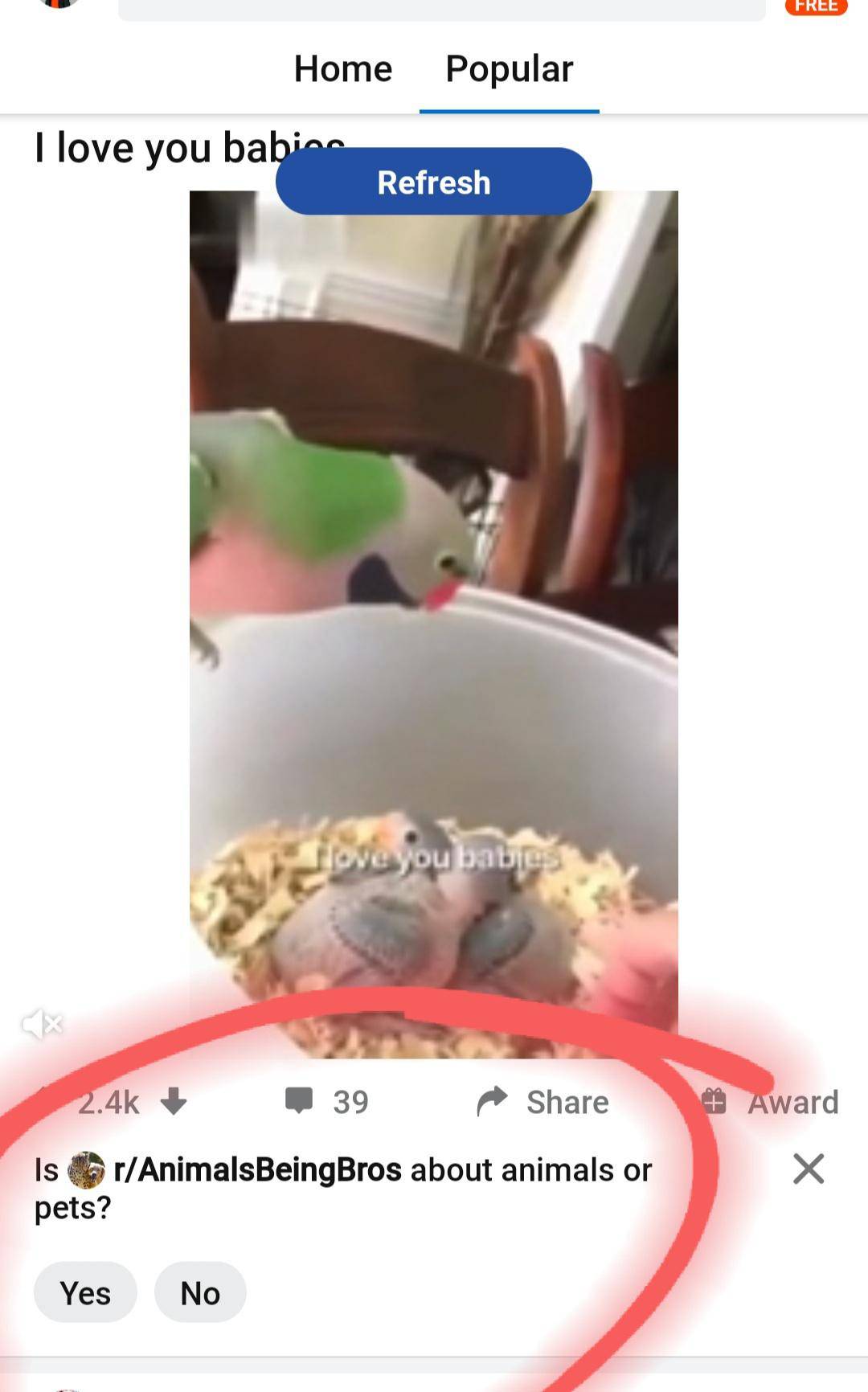 How do I answer this? Wtf | Scrolller