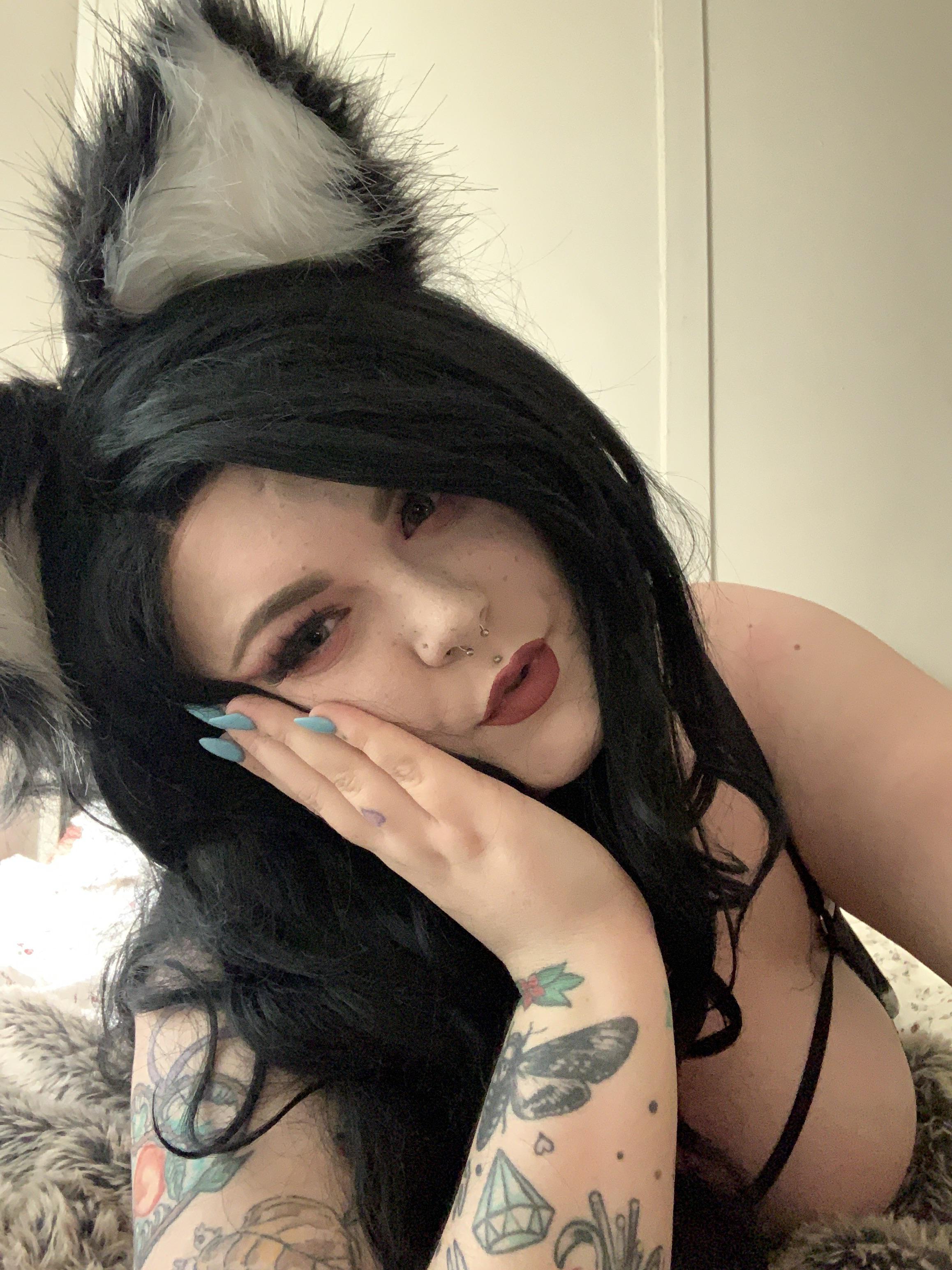 How do the cat ears look? | Scrolller