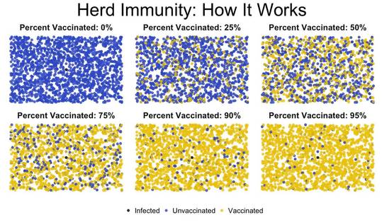 How Herd Immunity Works | Scrolller
