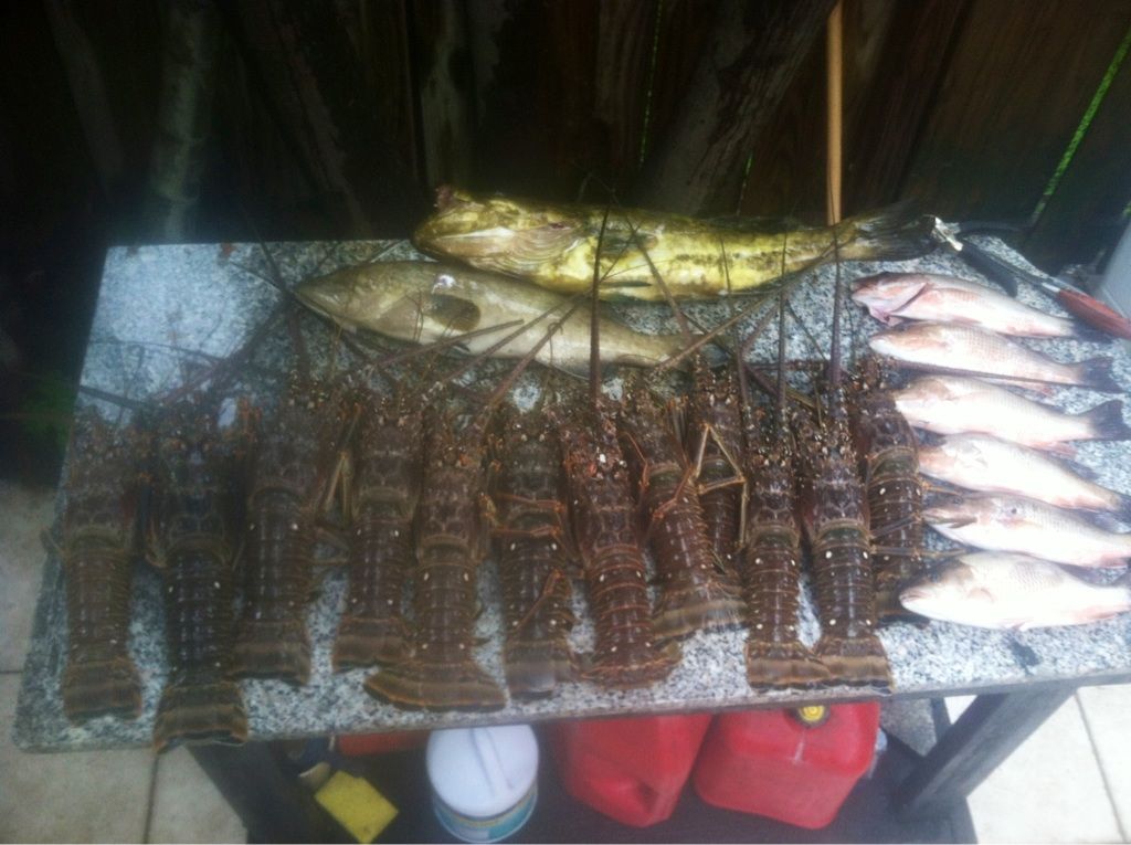 How I spent Labor Day. | Scrolller