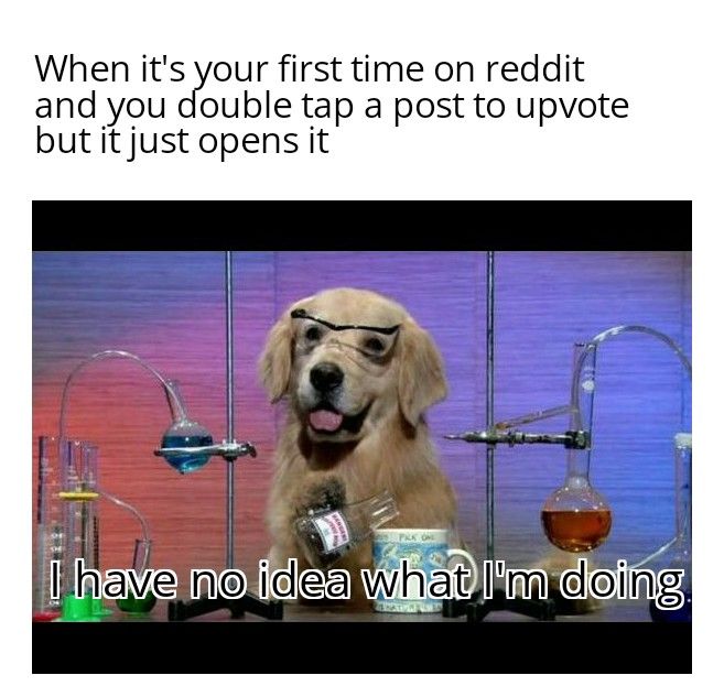 How in hell does it work | Scrolller