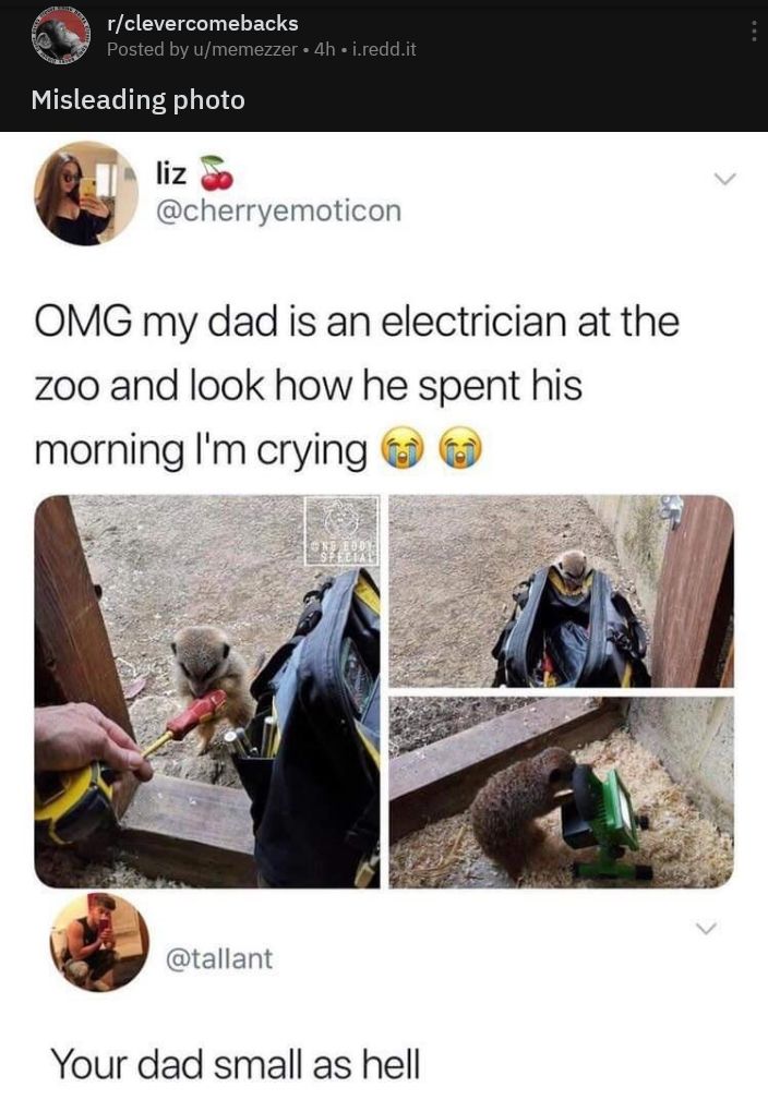 How is this a comeback let alone clever | Scrolller