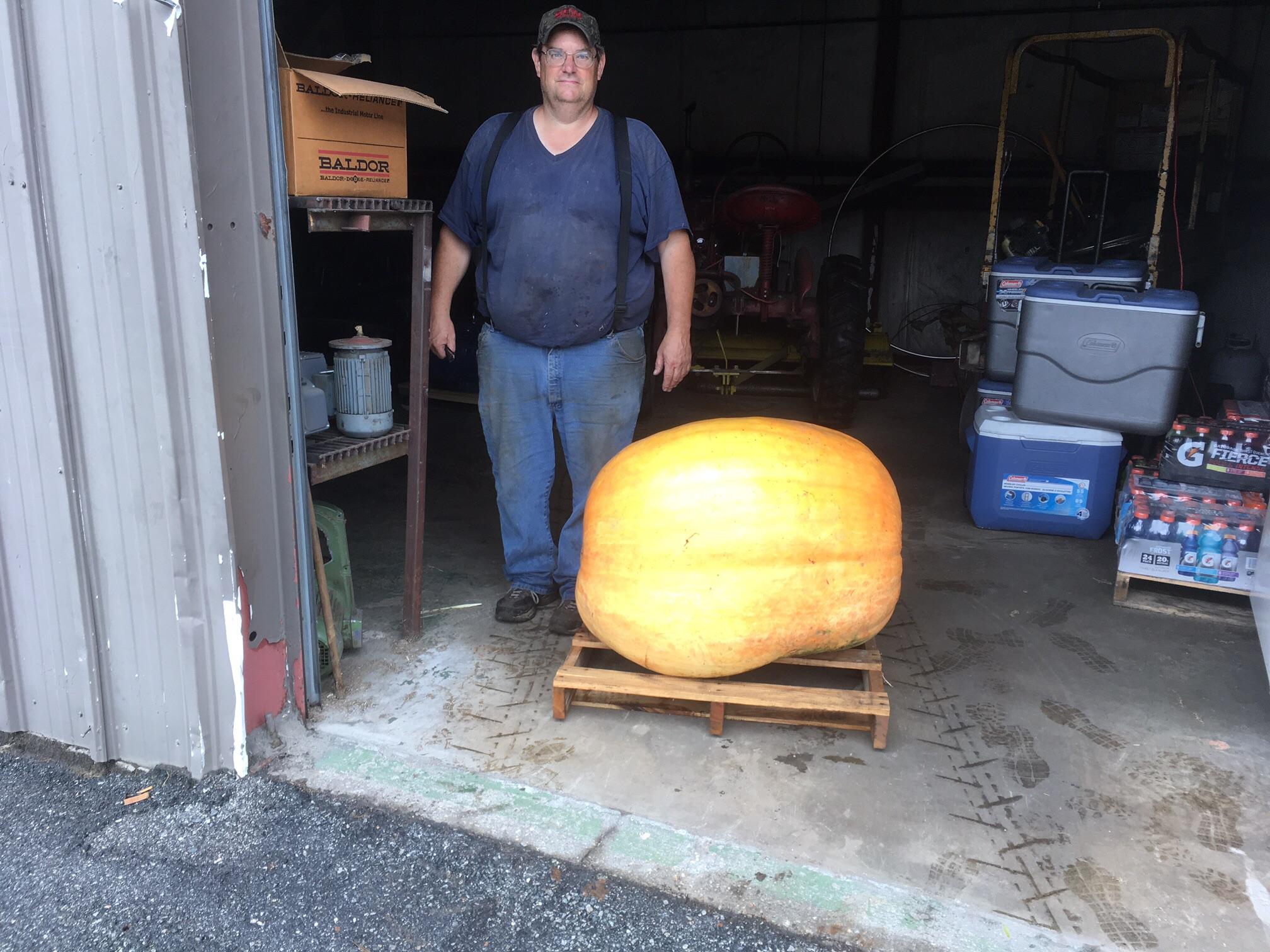 How much does this pumpkin look like it weighs? | Scrolller