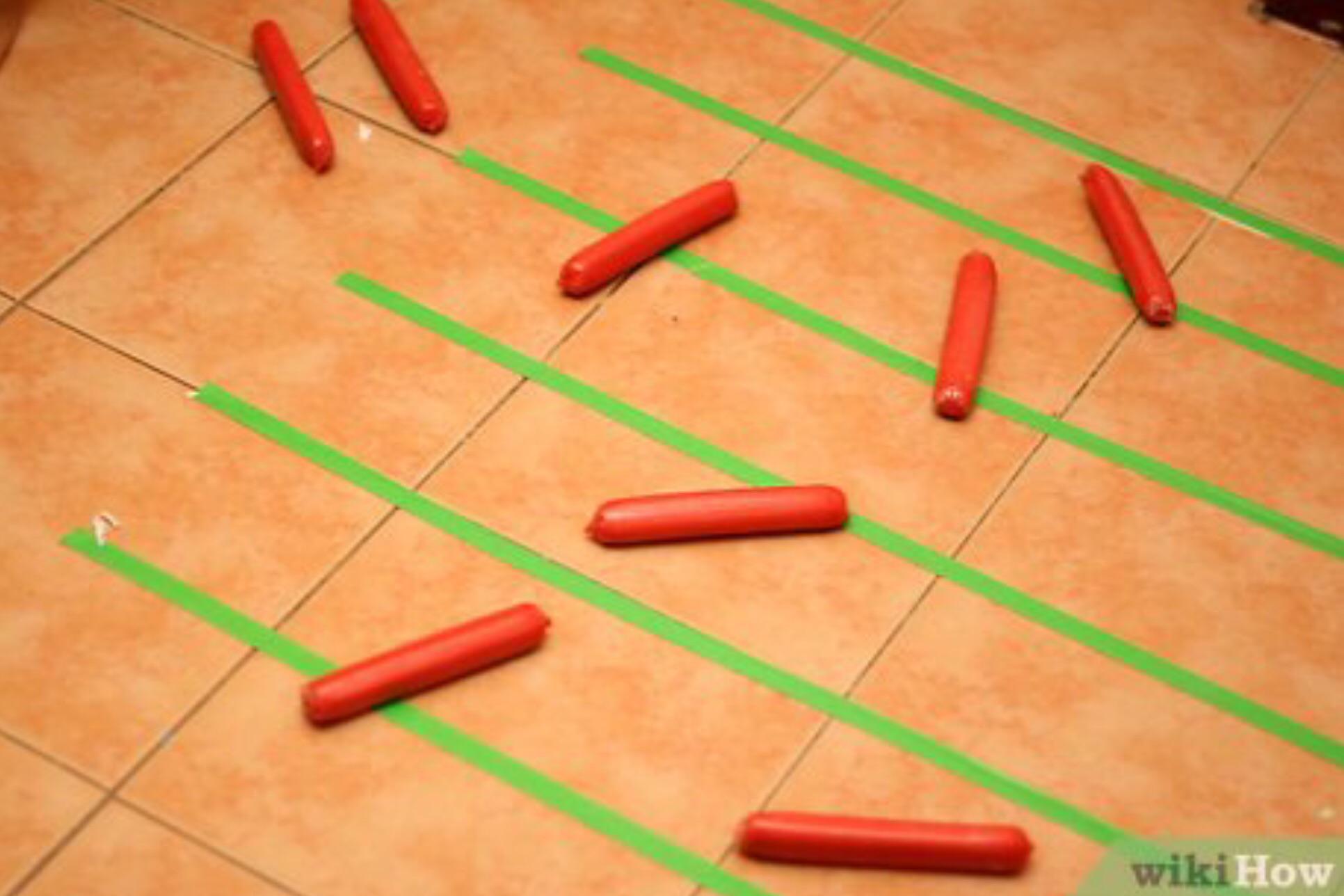How to calculate pi by throwing frozen hot dogs | Scrolller How to calculate pi by throwing frozen hot dogs | Scrolller