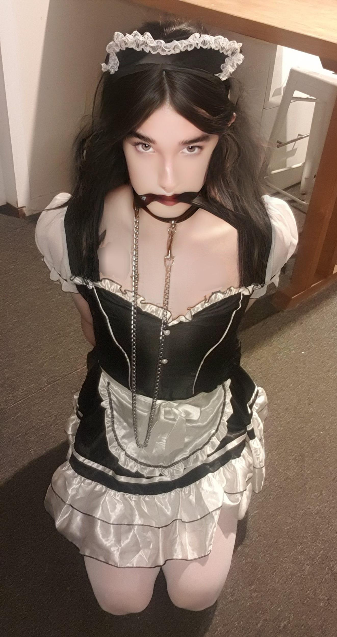 How would you train a pet maid?? Sissy_Maid96 😇 | Scrolller