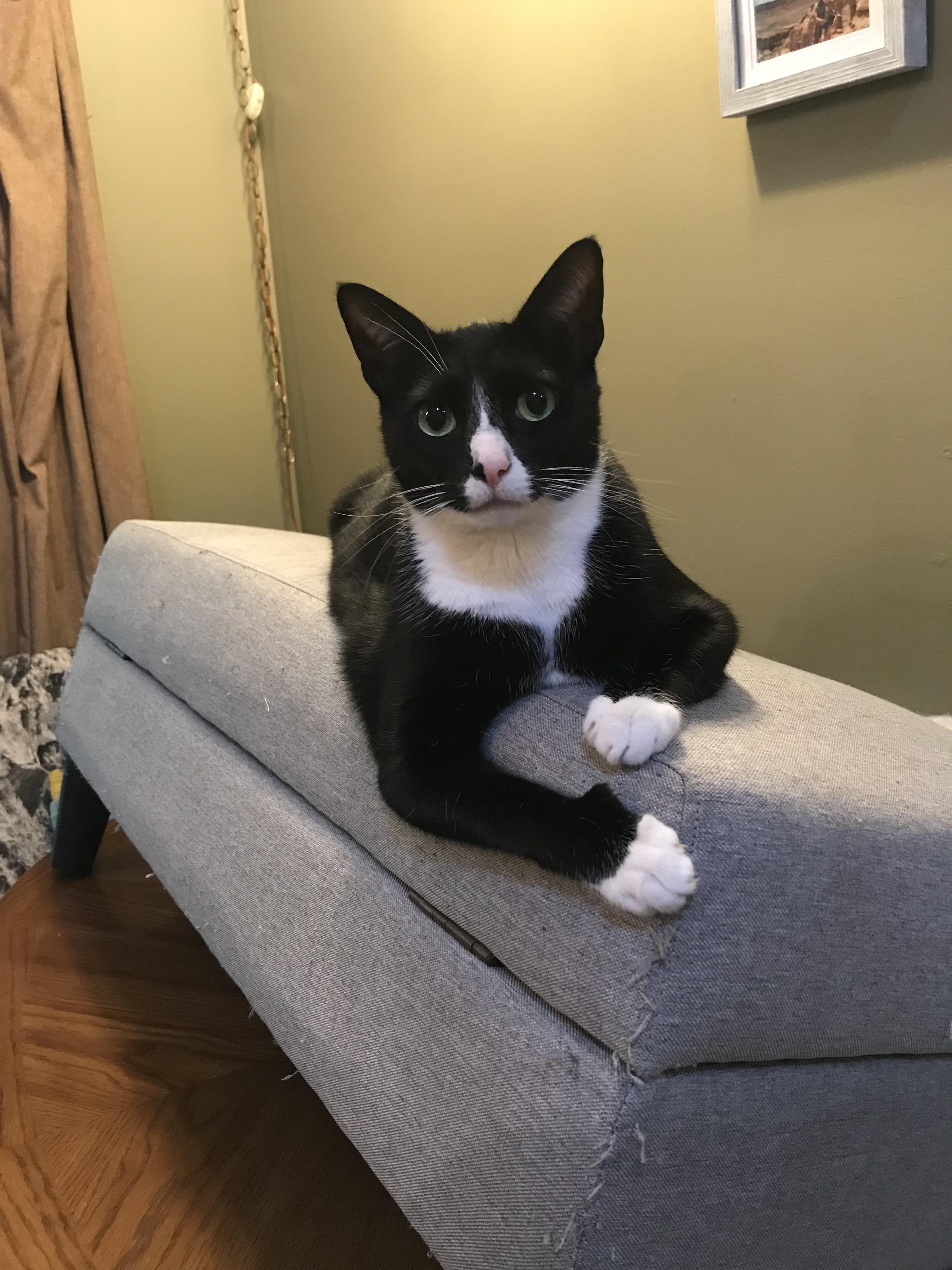 Howdy there, pardner. | Scrolller