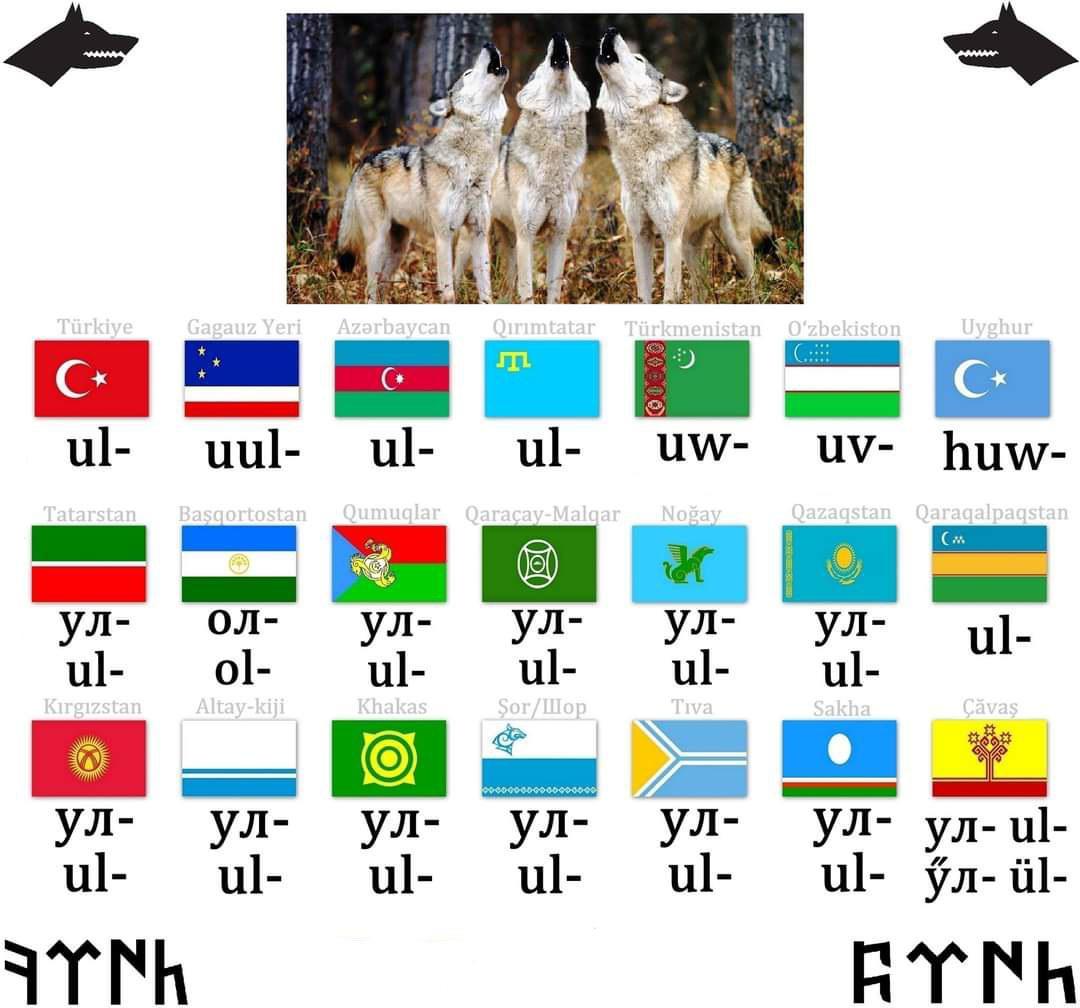 "Howl" in Turkic Languages | Scrolller