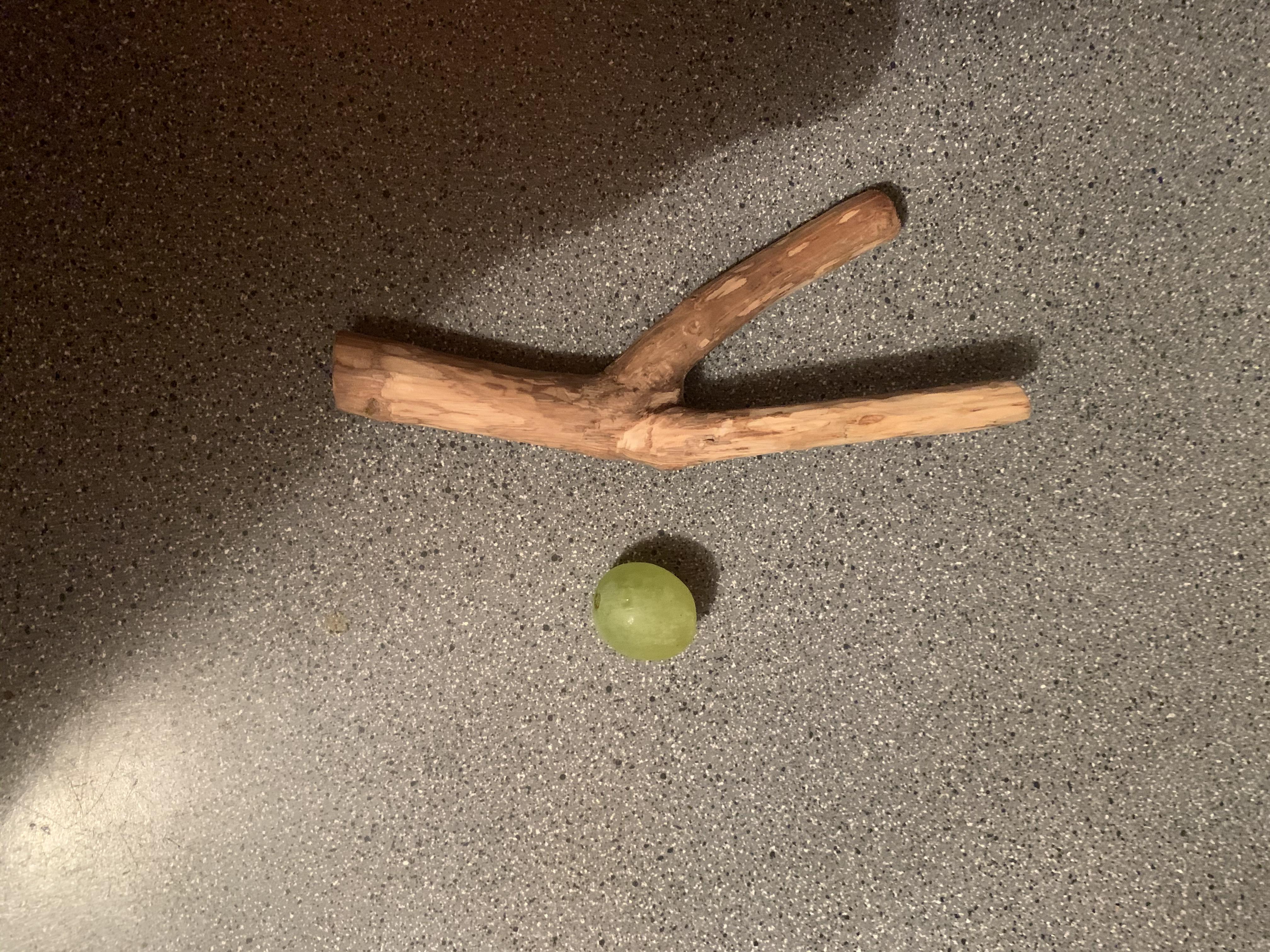 How's my first slingshot look? | Scrolller