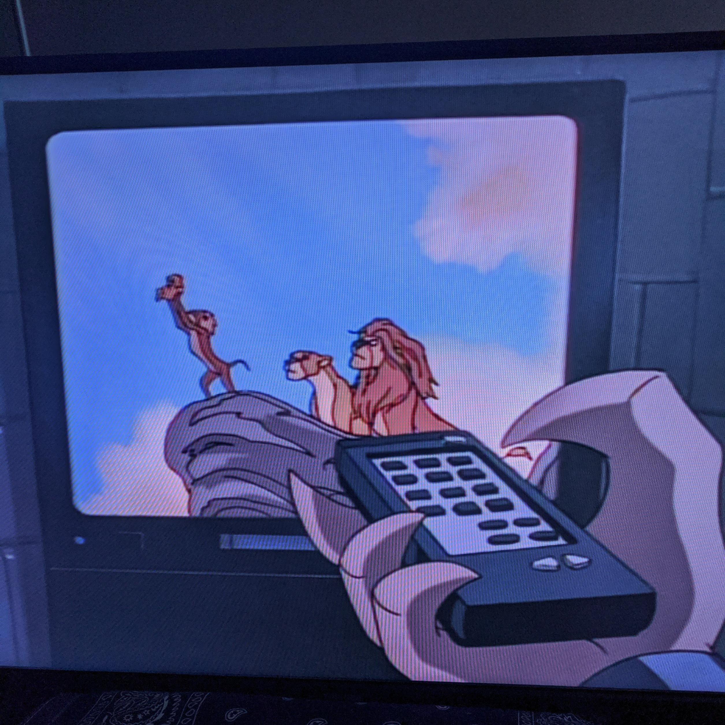 Hudson flipping channels, finds Lion king | Scrolller