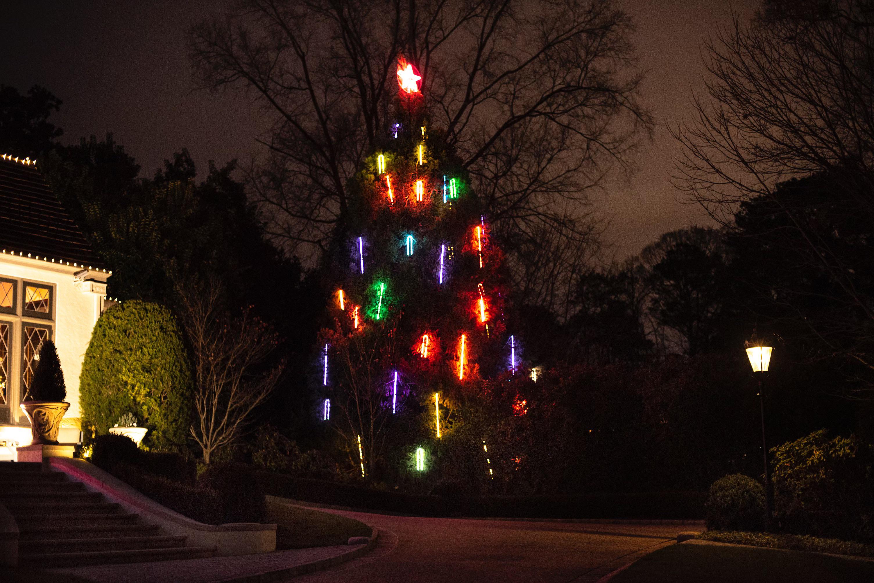 Huge Christmas Tree with Neon Lights | Scrolller