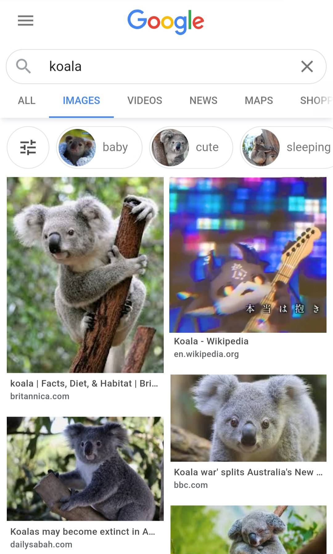 Huh. Didn't know koalas can play guitar. | Scrolller