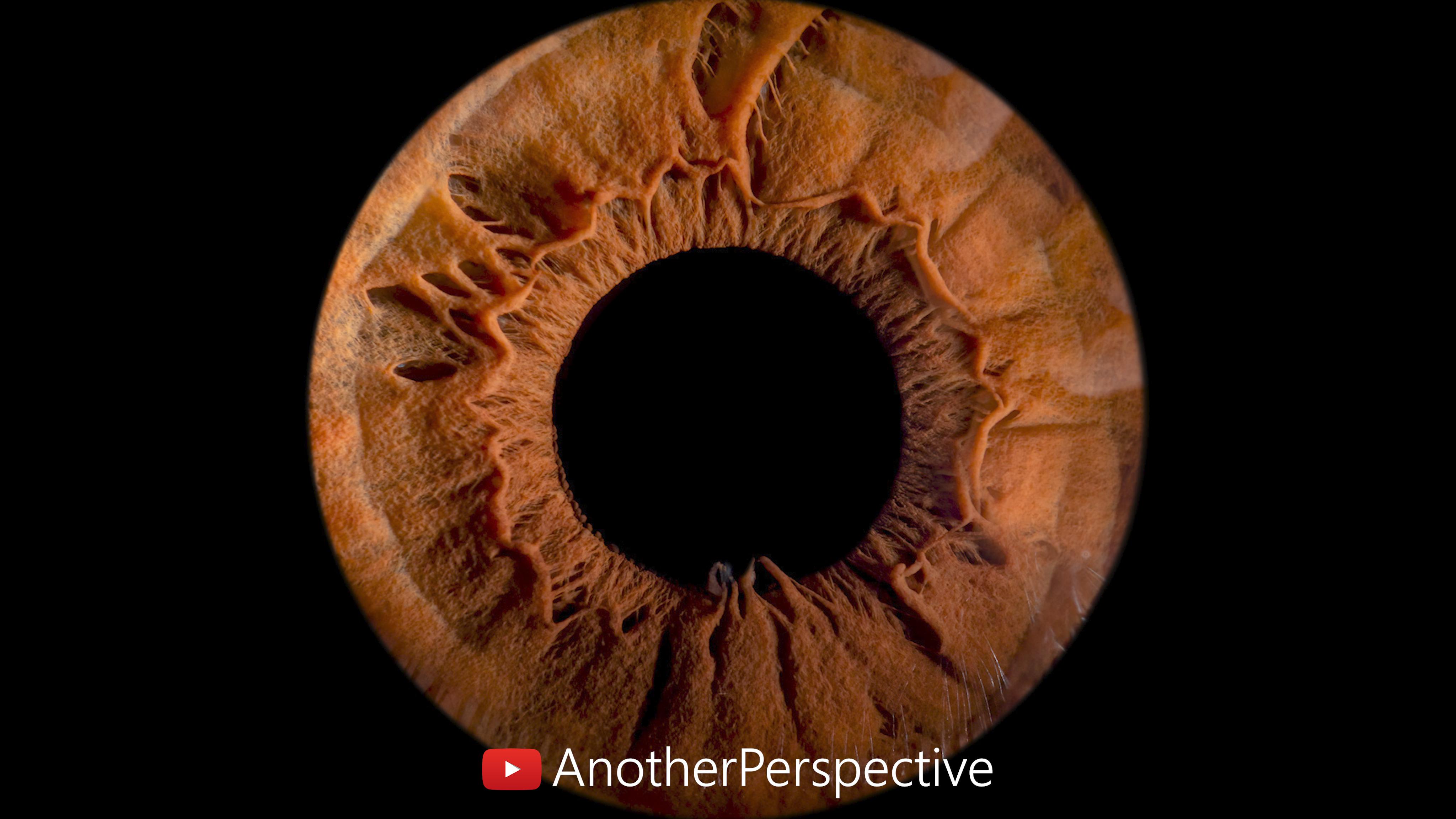 Human Iris Macro | Scrolller