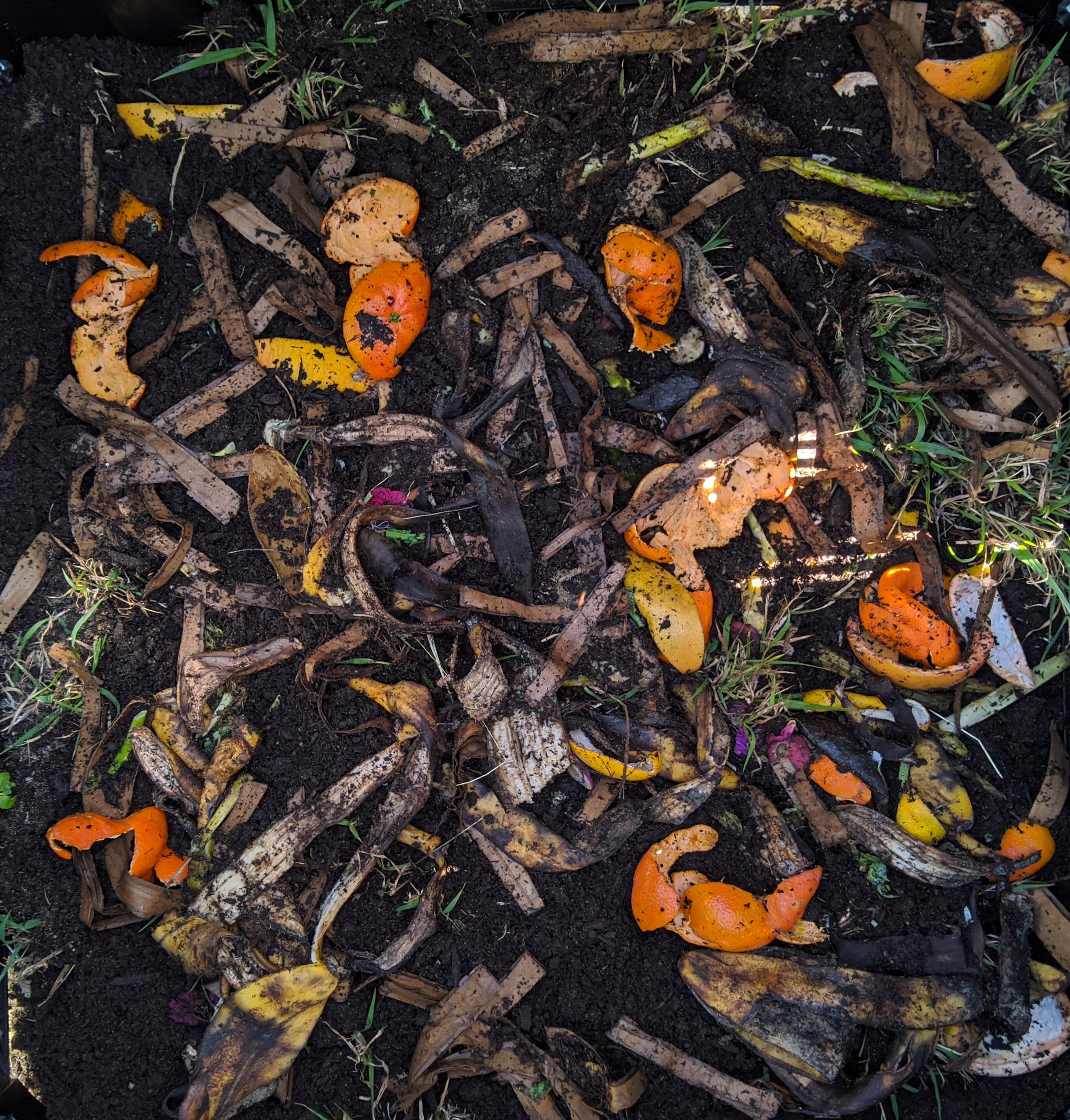 Humble beginnings :) | Scrolller