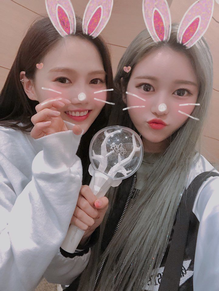 Hyojung And Jane (Of Momoland) | Scrolller