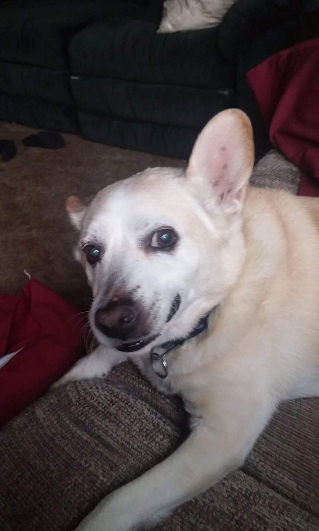 I am dead inside | Scrolller