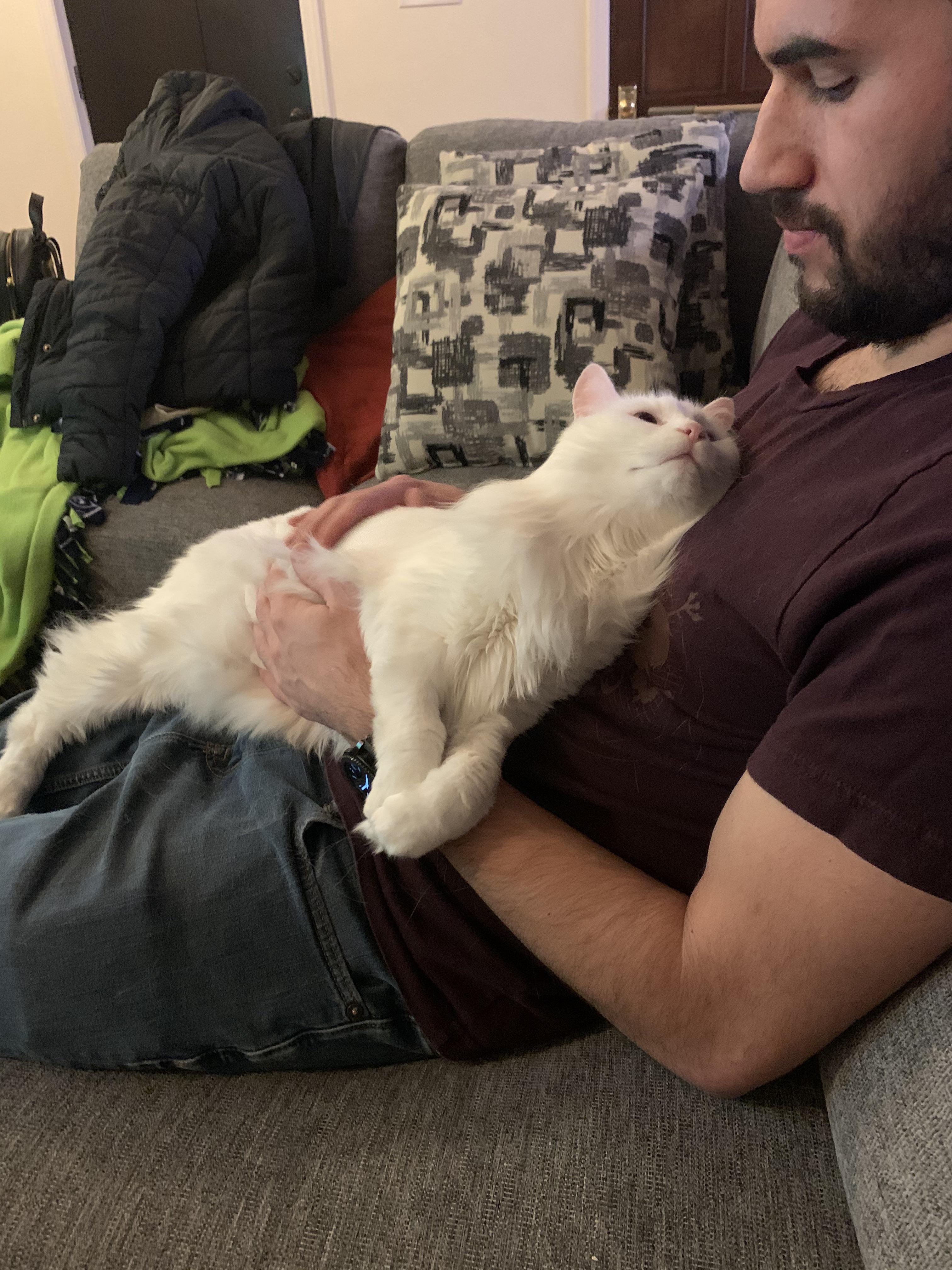 I am the third wheel in this relationship. | Scrolller