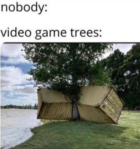 I am the tree | Scrolller