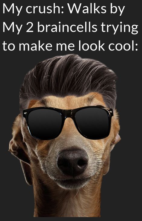 I am way too cool | Scrolller