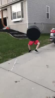 I AM WHEEL! | Scrolller