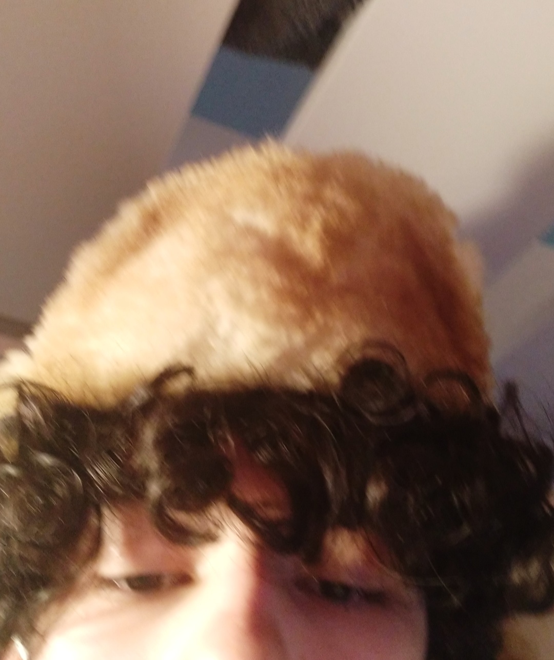 I bought a hat and it was too small :( | Scrolller