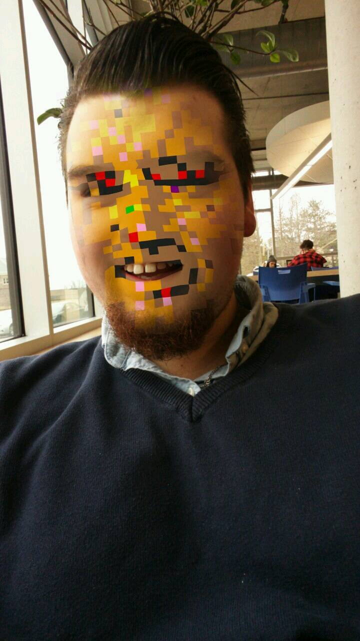 I did a face swap with the mona lisa | Scrolller