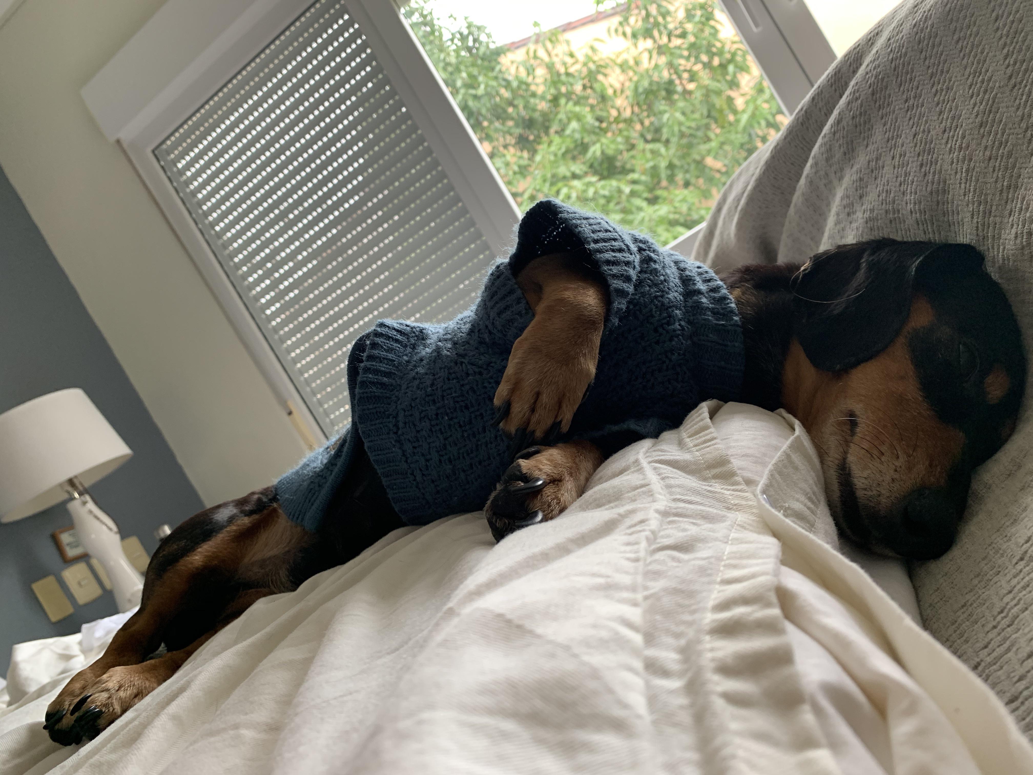 I doubt this is comfortable | Scrolller