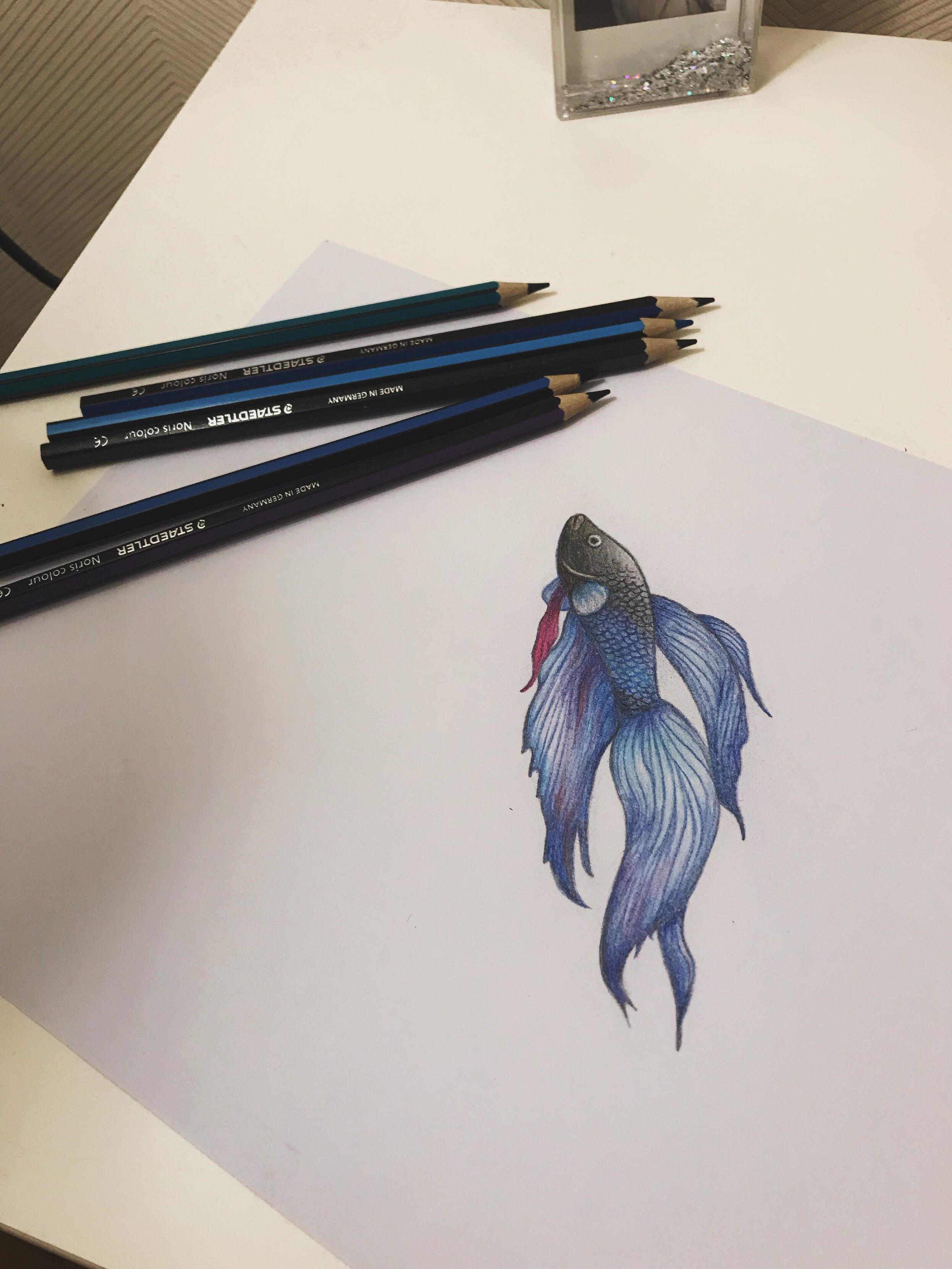 I drew my angry boy 🐟 | Scrolller