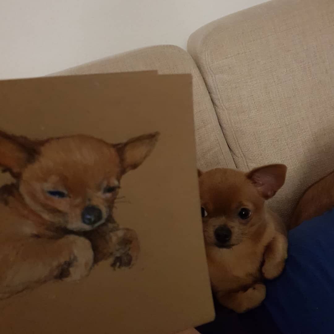 I drew my dog | Scrolller